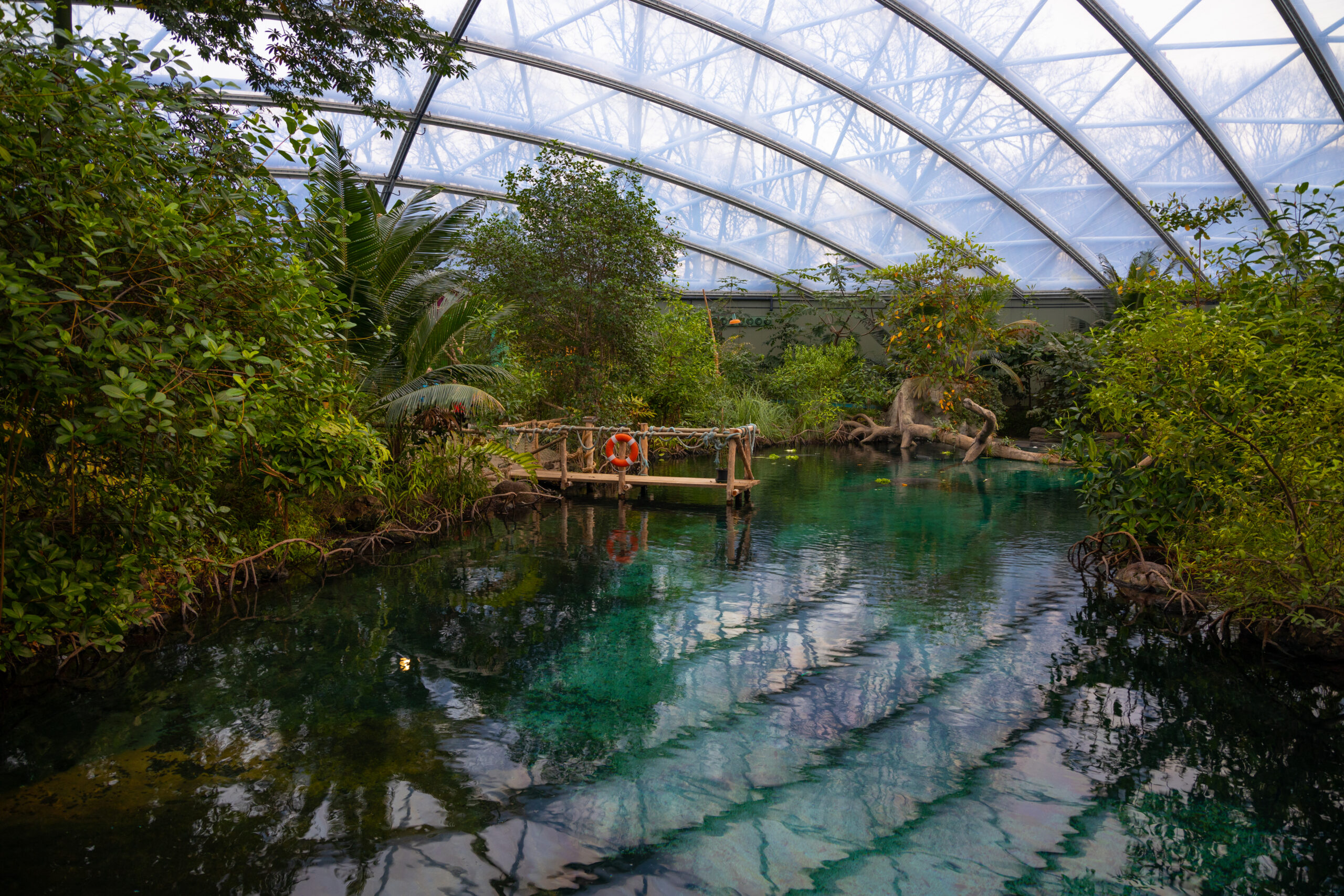 An Introduction to ETFE Glazing for Greenhouses